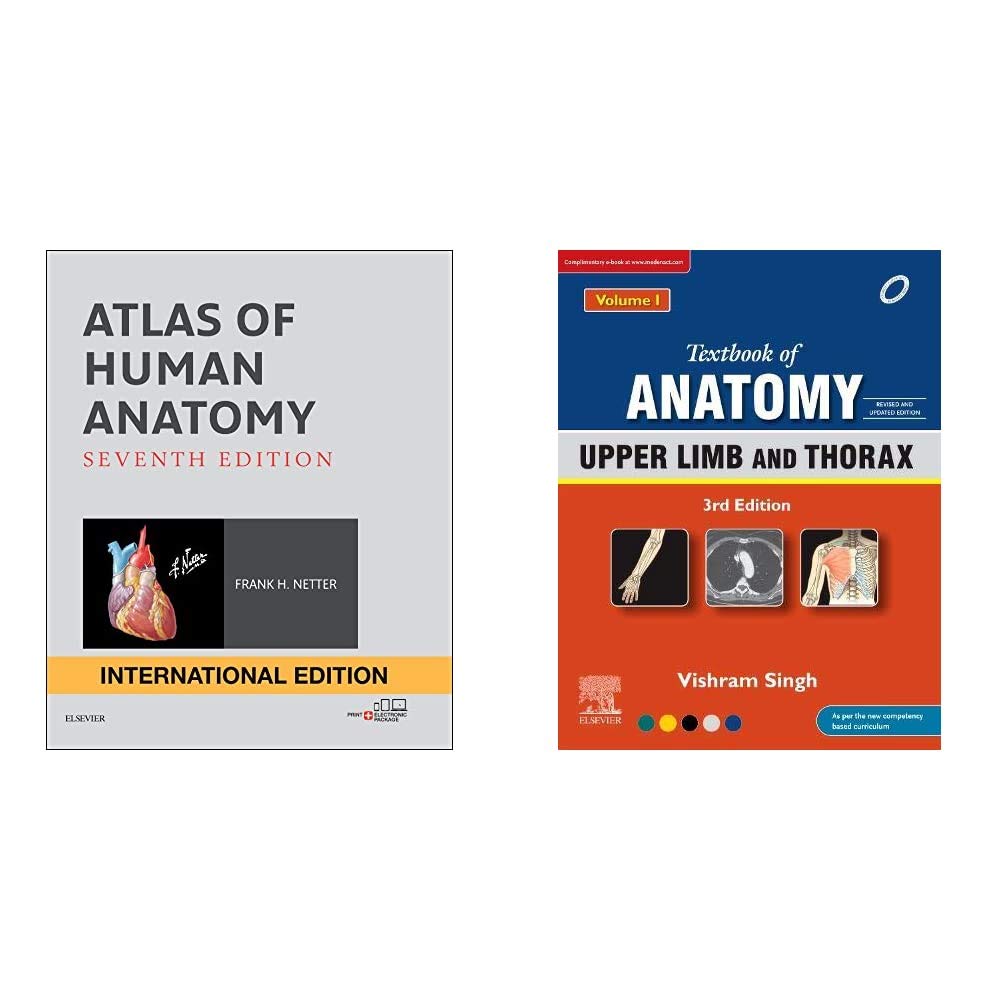 Buy ATLAS OF HUMAN ANATOMY 7ED (IE) (PB 2019) (Netter Basic Science ...