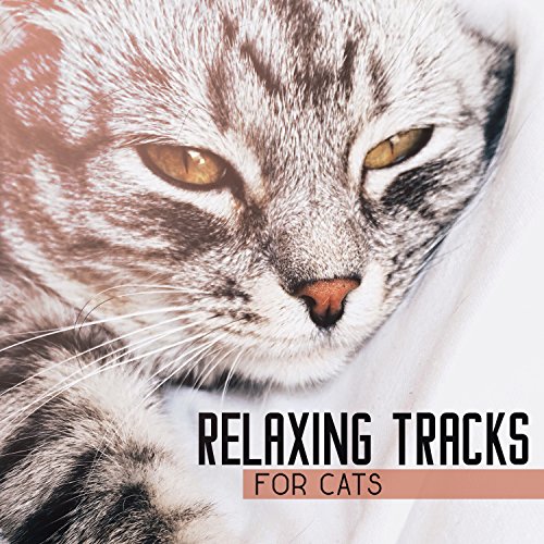 Relaxing Tracks for Cats: Gentle Sounds Only for Kittens Ears von Pet ...