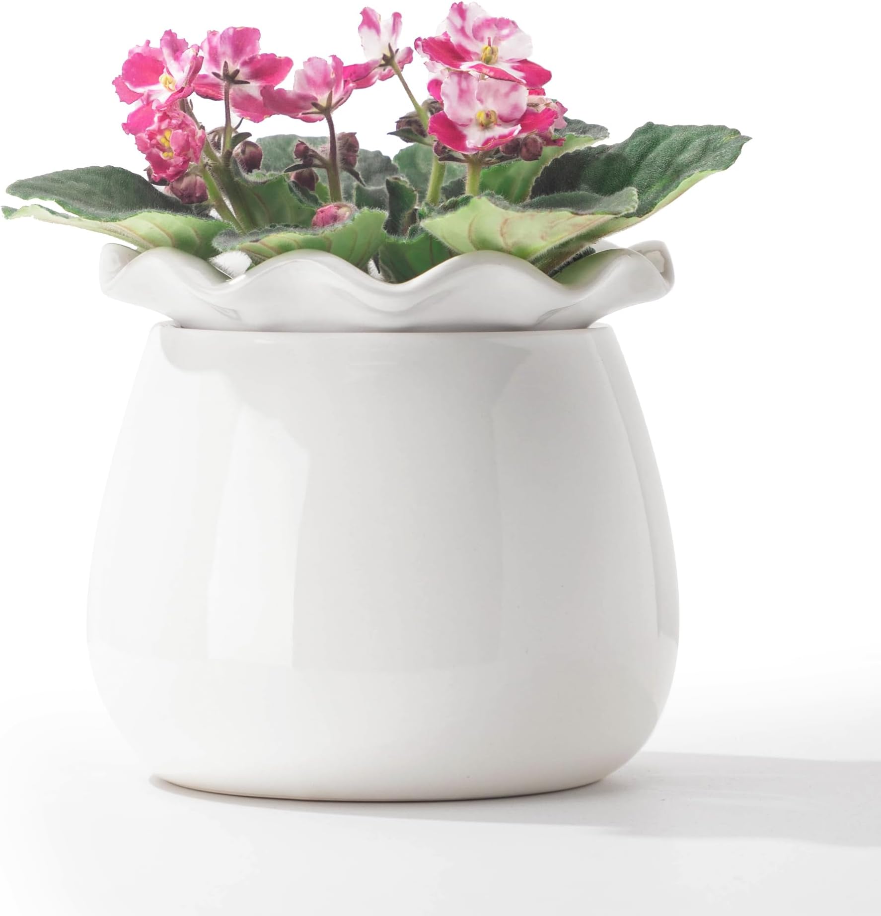 Amazon.com: African Violet Pots Self Watering - 7in White Ceramic ...