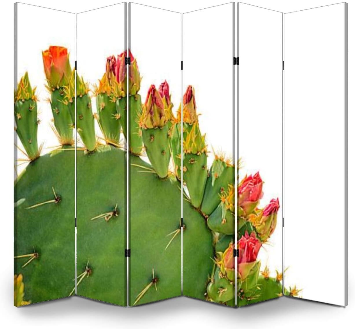 6 Panel Prickly Pear Cactus Blossom Room Divider Nepal | Ubuy