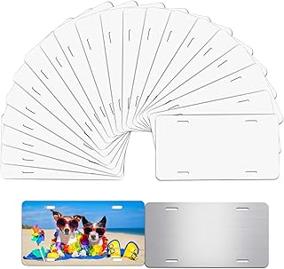 Transferring Plates: A Simple Guide For Your New Car | ShunAuto