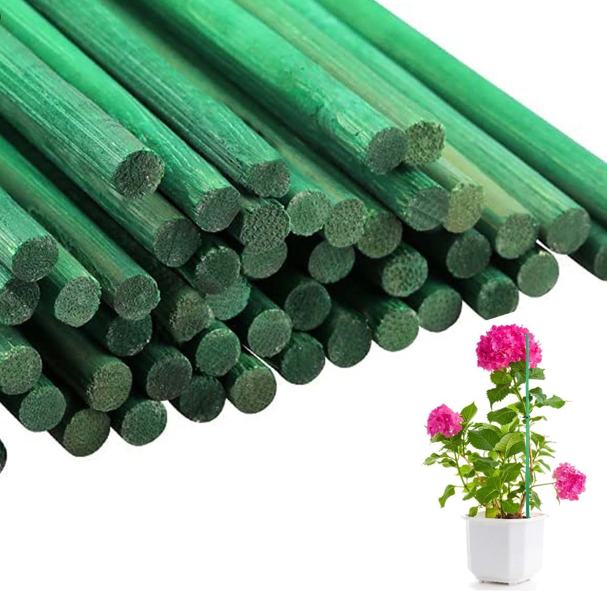 Radworx Plant Support Sticks - 100 pack 60cm Bamboo - Weather Resistant ...