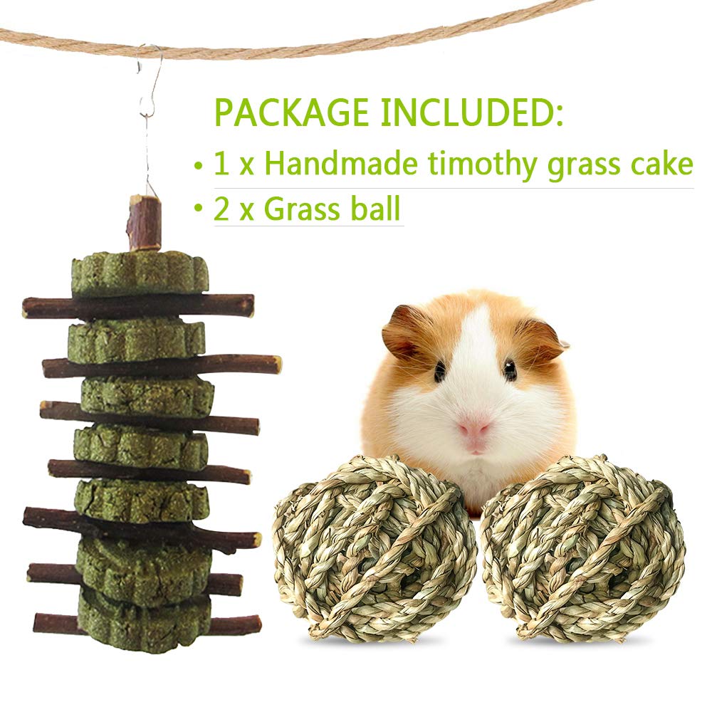 Hamster Eye Infection : r/hamstercare