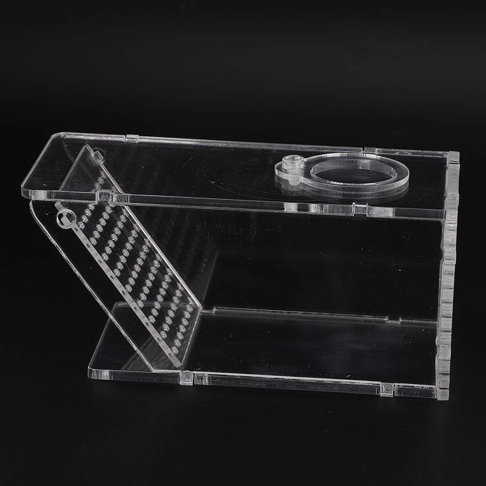 Amazon.com : Crab Fish Trap, Crab Trap Catcher Box Fish Tank Snail Box ...