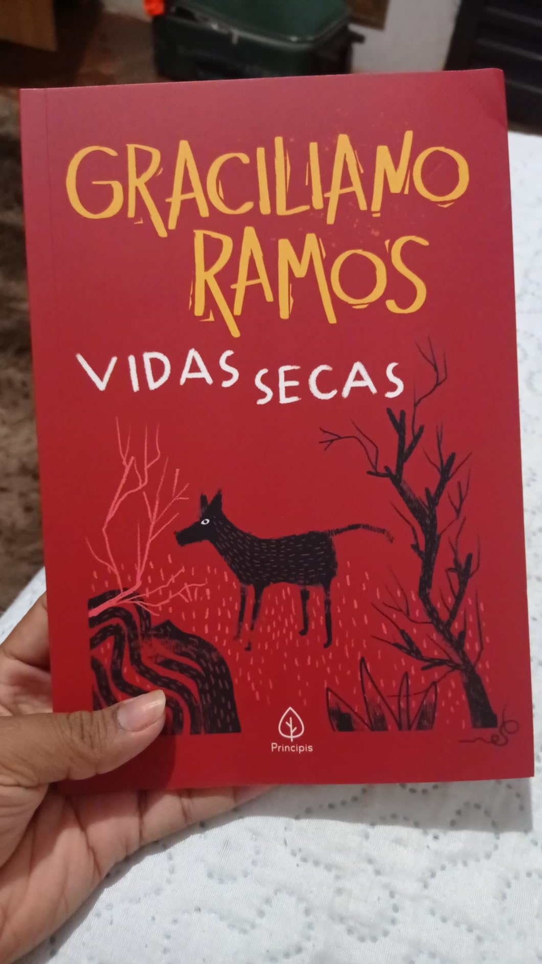 Vidas secas | Amazon.com.br