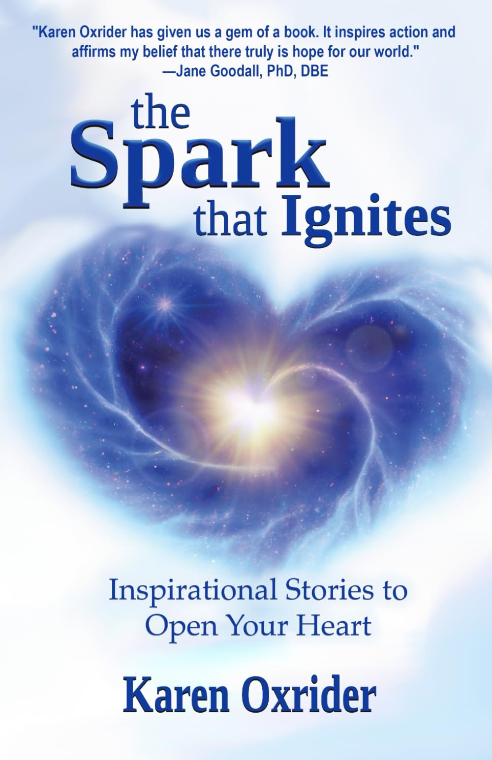 The Spark That Ignites: Inspirational Stories to Open Your Heart ...