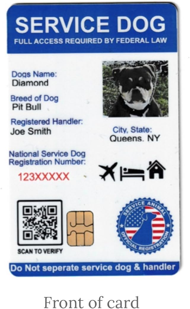 Amazon.com : Registered Service Dog id Card Customized with Handlers ...