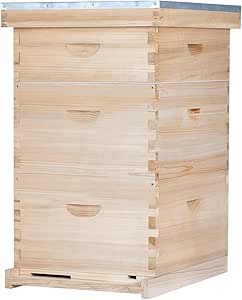 Amazon.com : BEEINN Bee Hive Boxes 10 Frame Langstroth Beehive,Complete Beehive Kit Includes 2 ...