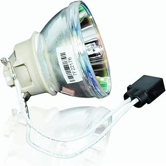 Amazon.com: PADGZQGRZ BL-FP240E / SP.78V01GC01 Projector Lamp Bulb Fit ...