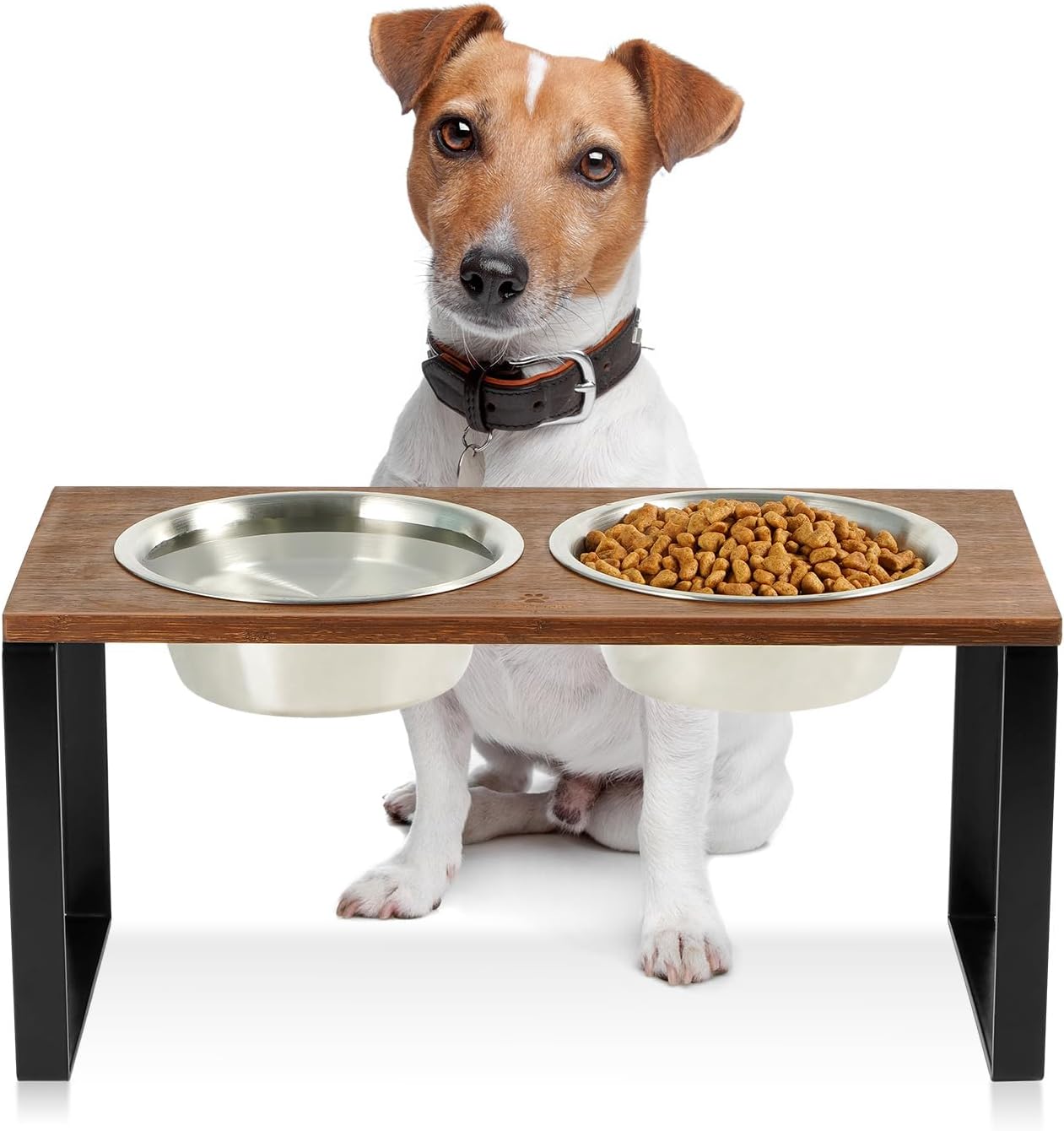 PetVita® - Erhöhter Hundenapf: ALLinONE Hundebar, 12 mal ...