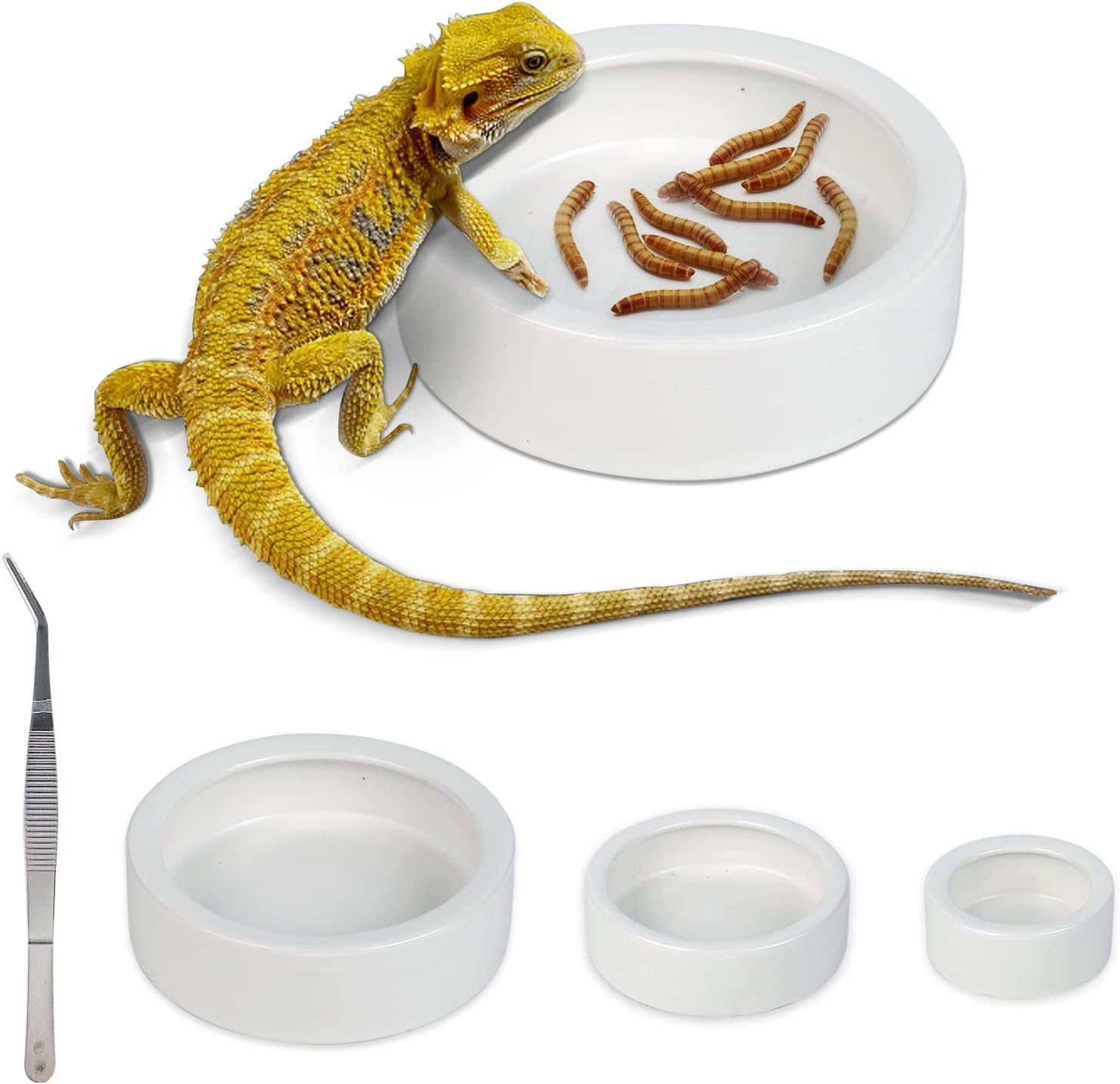 Amazon.com : WUHOSTAM Ceramic Reptile Food and Water Bowl Set of 3,Mini ...