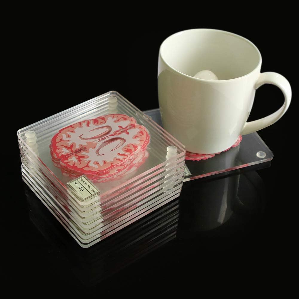 Amazon.com: Timethink (Set of 10) 4'' 3D Brain Specimen Coasters, Funny ...