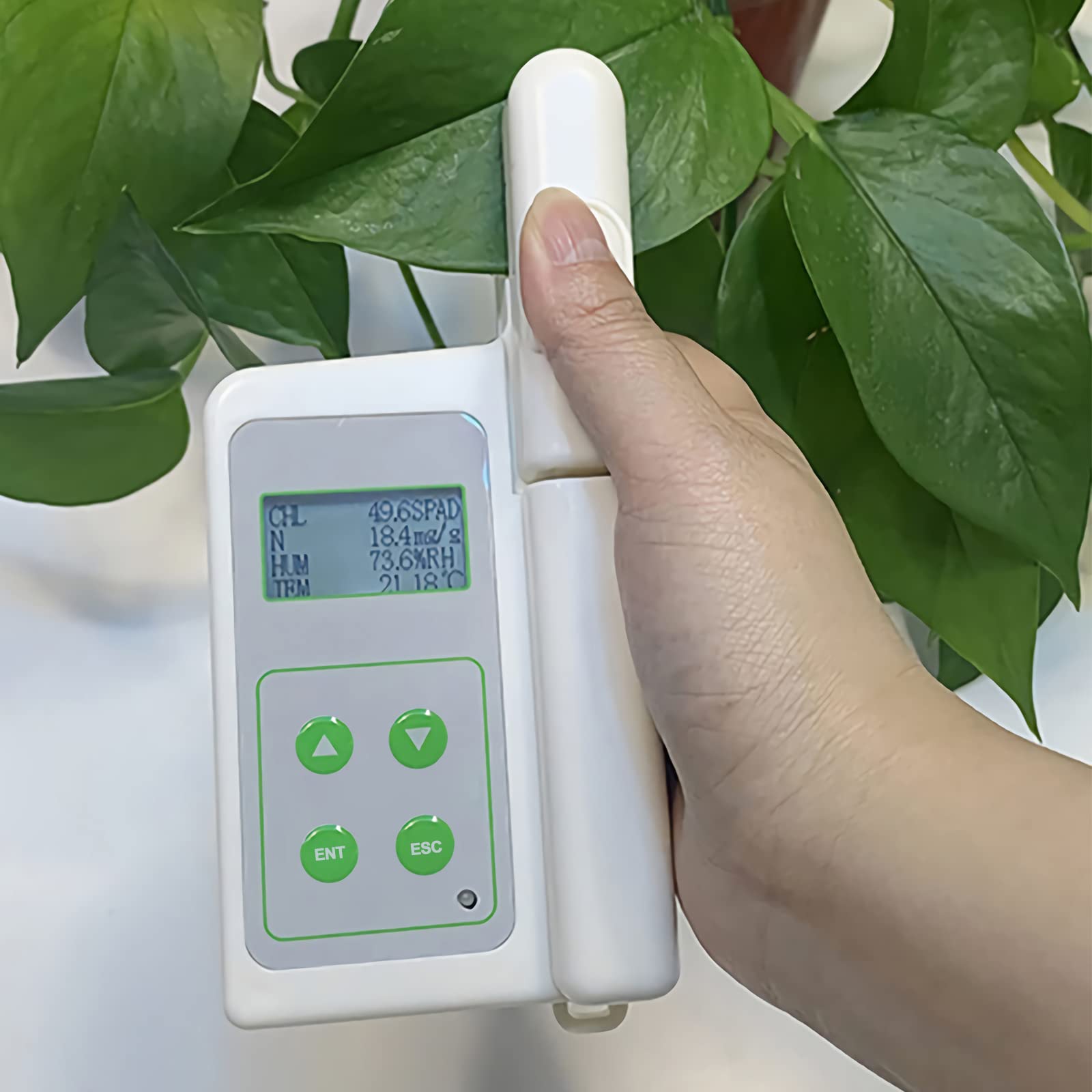 Amazon.com: GOYOJO Chlorophyll Meter Plant Leaf Chlorophyll Analyzer ...