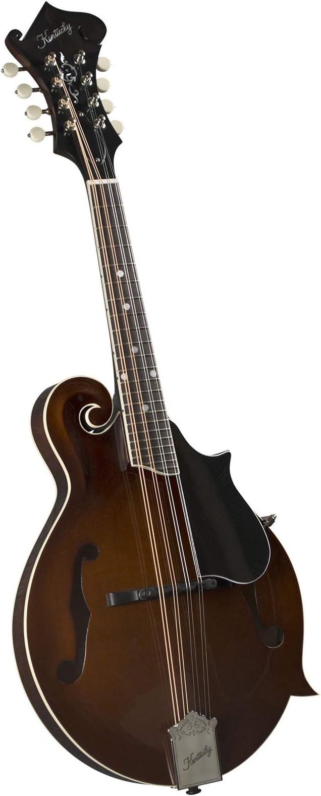 Amazon.com: Gold Tone, 12-String Mandolin, Natural (F-12) : Musical ...