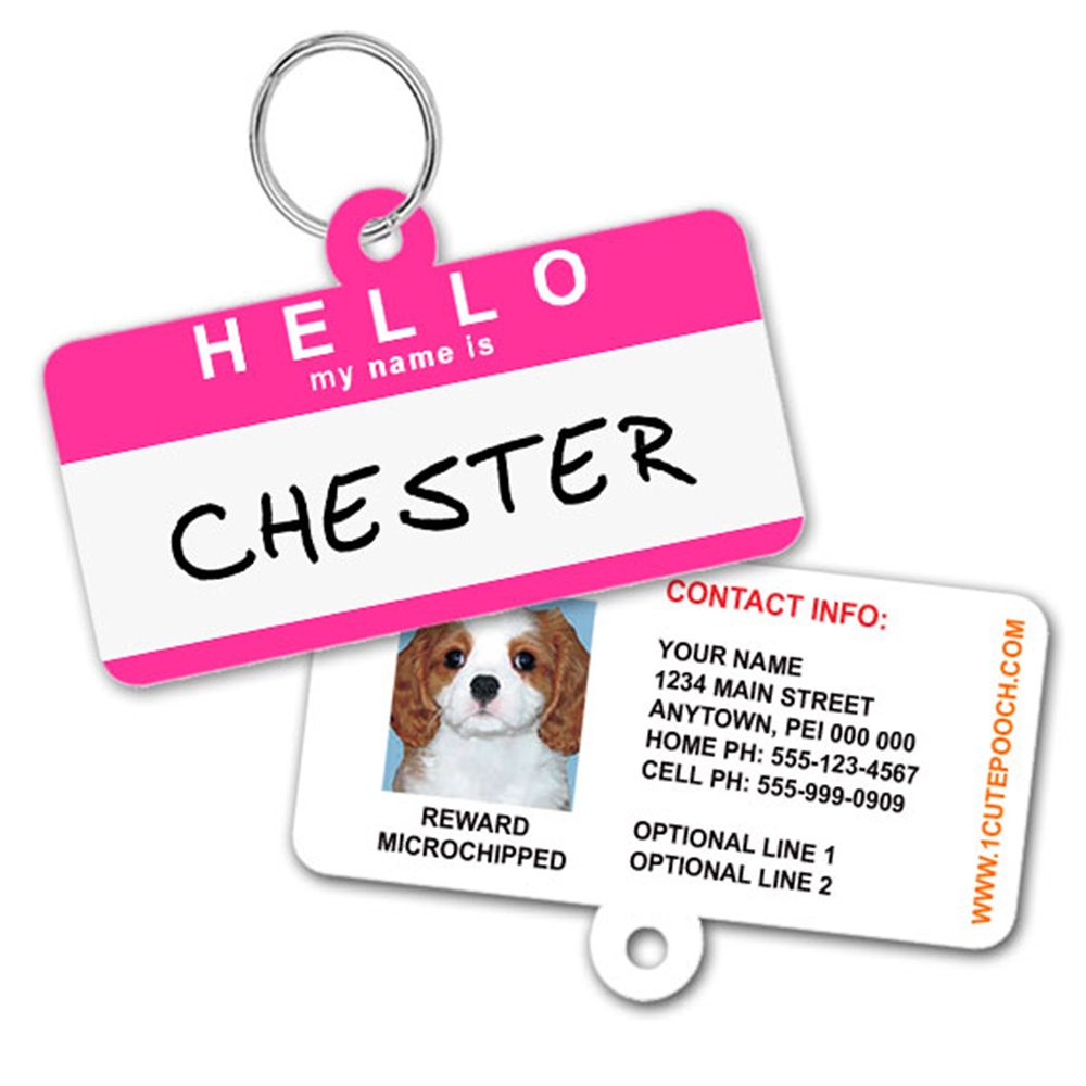 Etiquetas Perros Mirar Etiqueta De Identificación De Perro