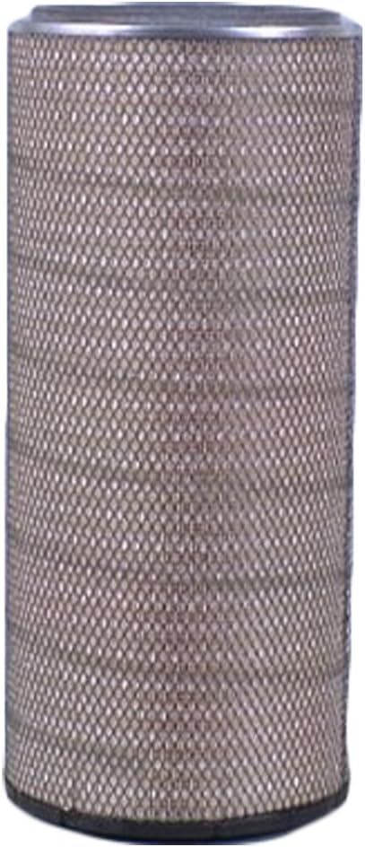 Amazon.com: Cummins Fleetguard AF25248 Air, Primary Magnum RS : Automotive