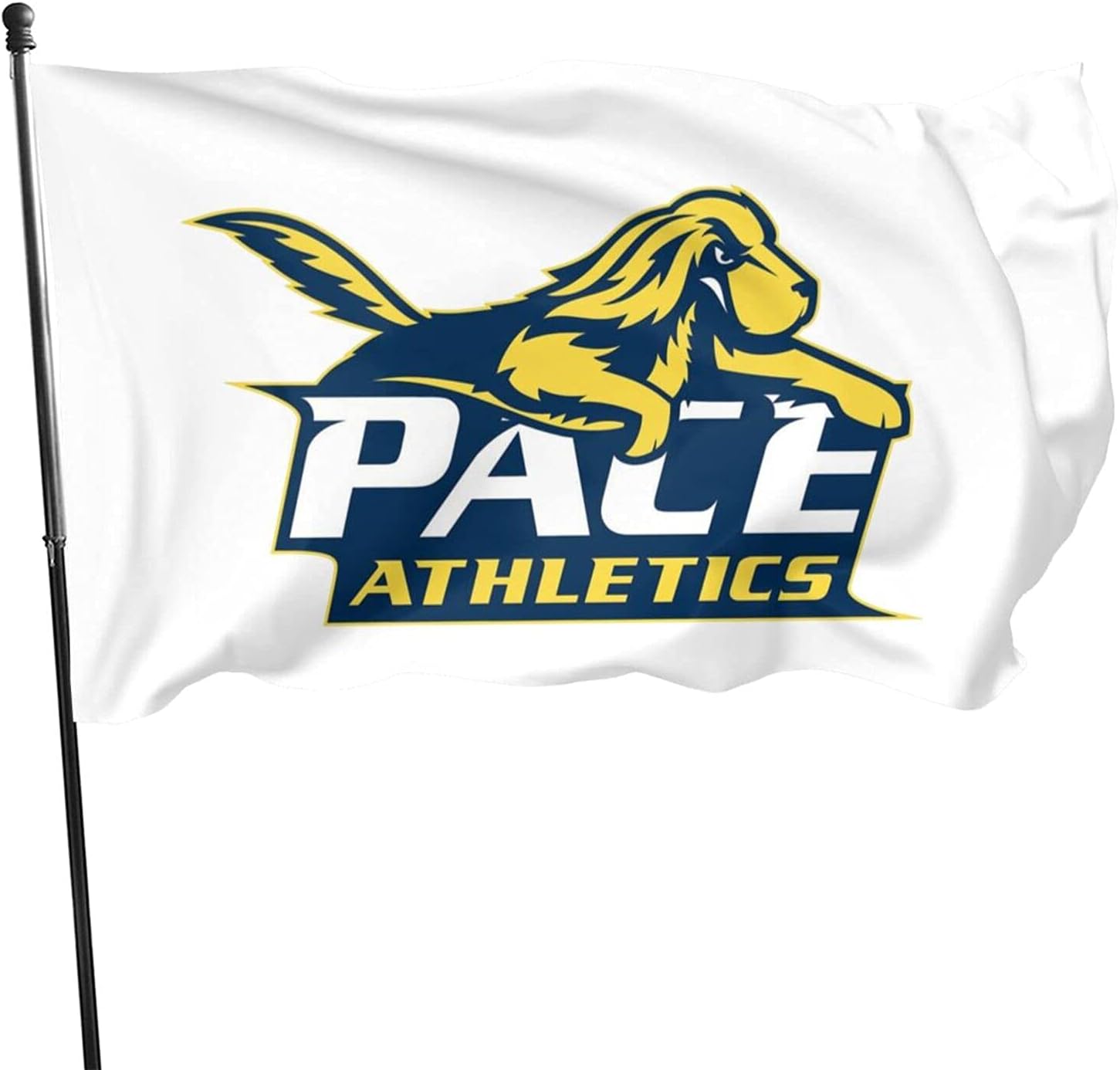 Amazon.com : SEVNTH Pace University New York Logo Flag 3x5 Ft Durable ...