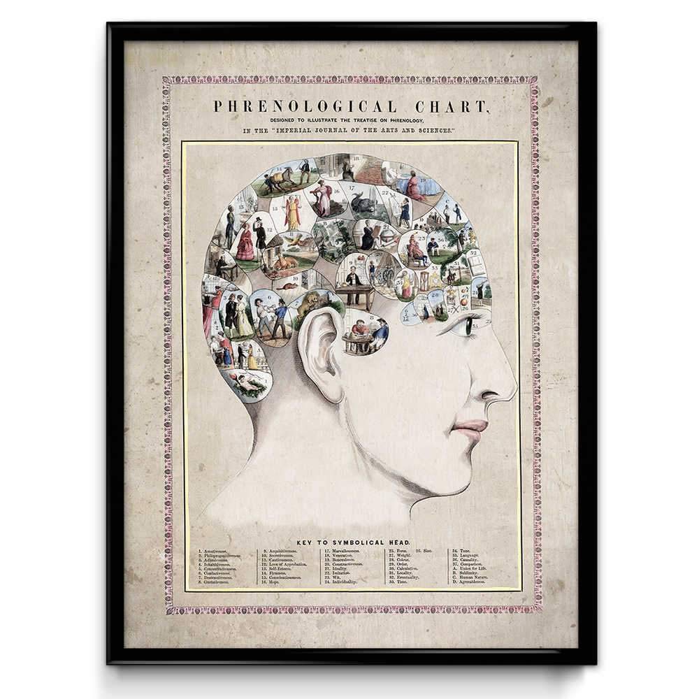 Phrenology Art