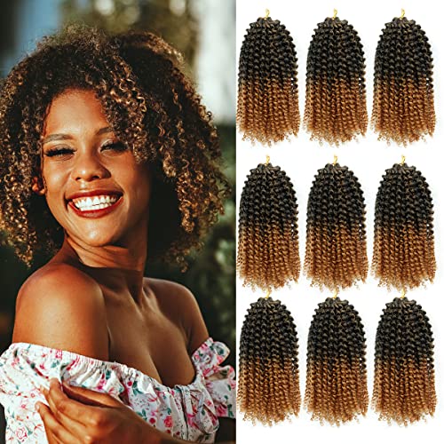 Top 10 Best Pre Braided Hair Weave : Reviews & Buying Guide - Katynel