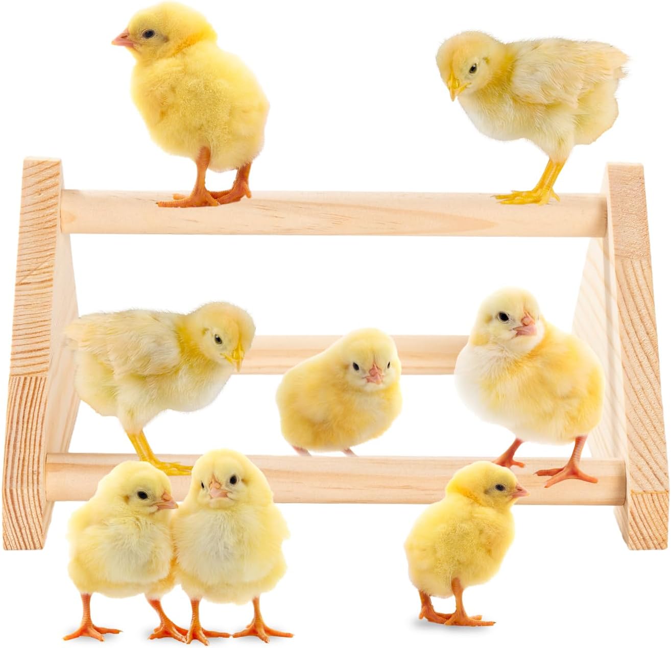 Amazon.com: Chicken Perch for Chicken Coop - Perching Bar with Ladder ...