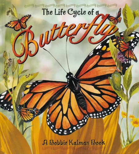 The Life Cycle of a Butterfly: Amazon.co.uk: Kalman, Bobbie ...