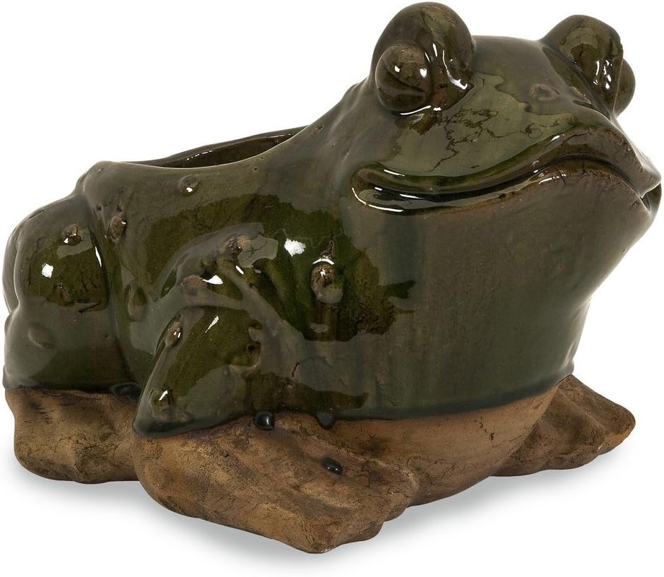Amazon.com: IMAX Frank the Frog Planter