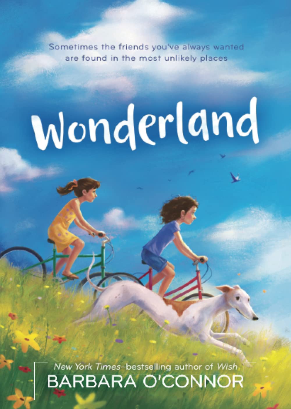 Wonderland: O'Connor, Barbara: 9781250905161: Amazon.com: Books