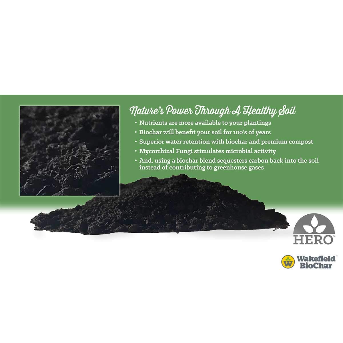 Wakefield Biochar Soil Conditioner - Premium - 1 lb Bag - 100% Biochar ...