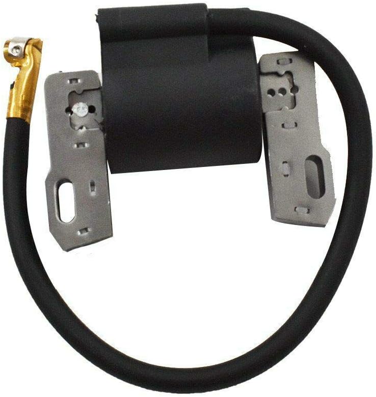 Amazon.com: 592846 Ignition Coil Replace 799651 691060 401577 499447 ...
