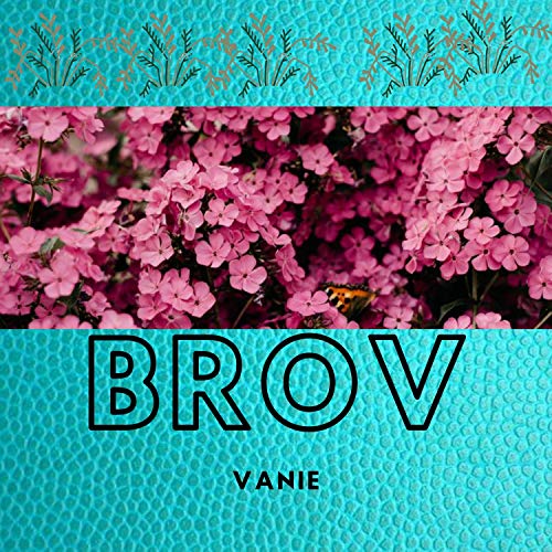 Play Road by Brov on Amazon Music