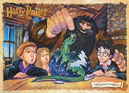 Norbert Harry Potter