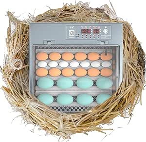 Amazon.com: ZAPION Egg Incubator, 16 Eggs Fully Automatic Poultry Machine, LED Candler Automatic ...