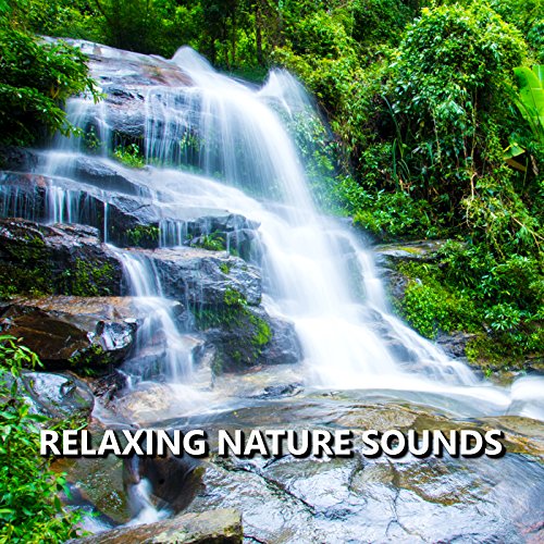 Relaxing Nature Sounds by Sounds of Nature on Amazon Music - Amazon.co.uk