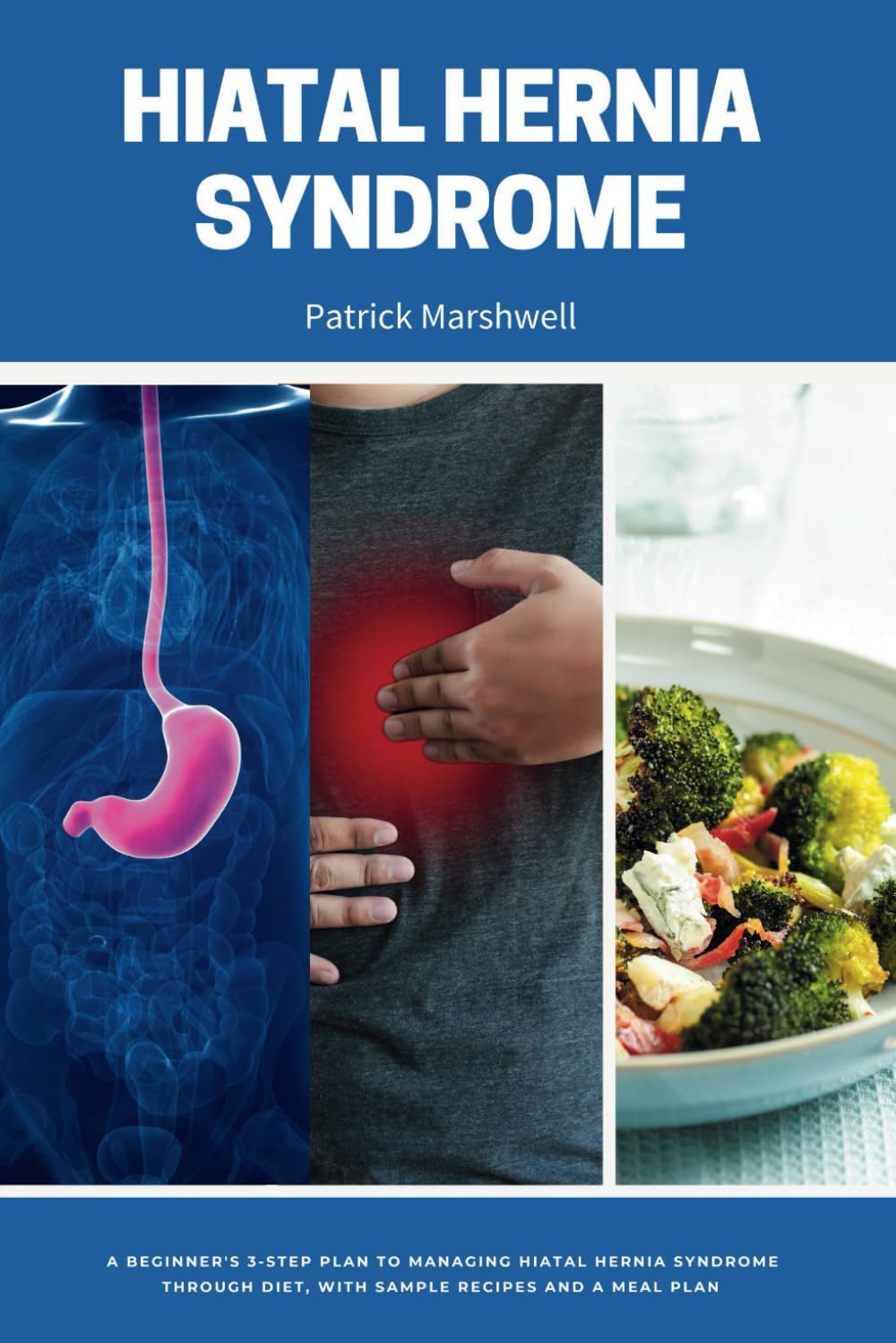 Hiatal Hernia Syndrome A Beginners 3 Step Plan To Managing | Desertcart ...