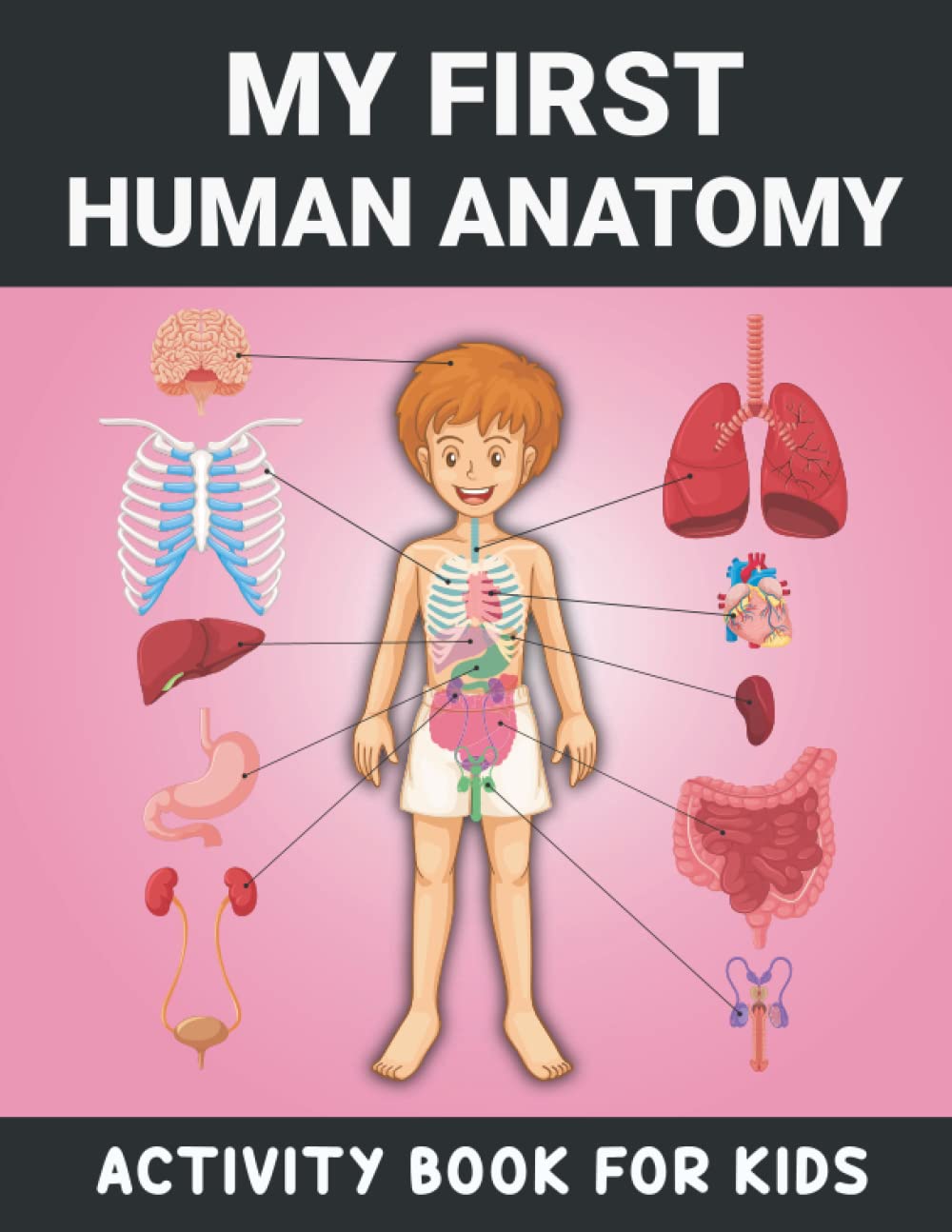 Buy My First Human Anatomy Activity Book For Kids Human Internal buy-my-first-human-anatomy-activity-book-for-kids-human-internal