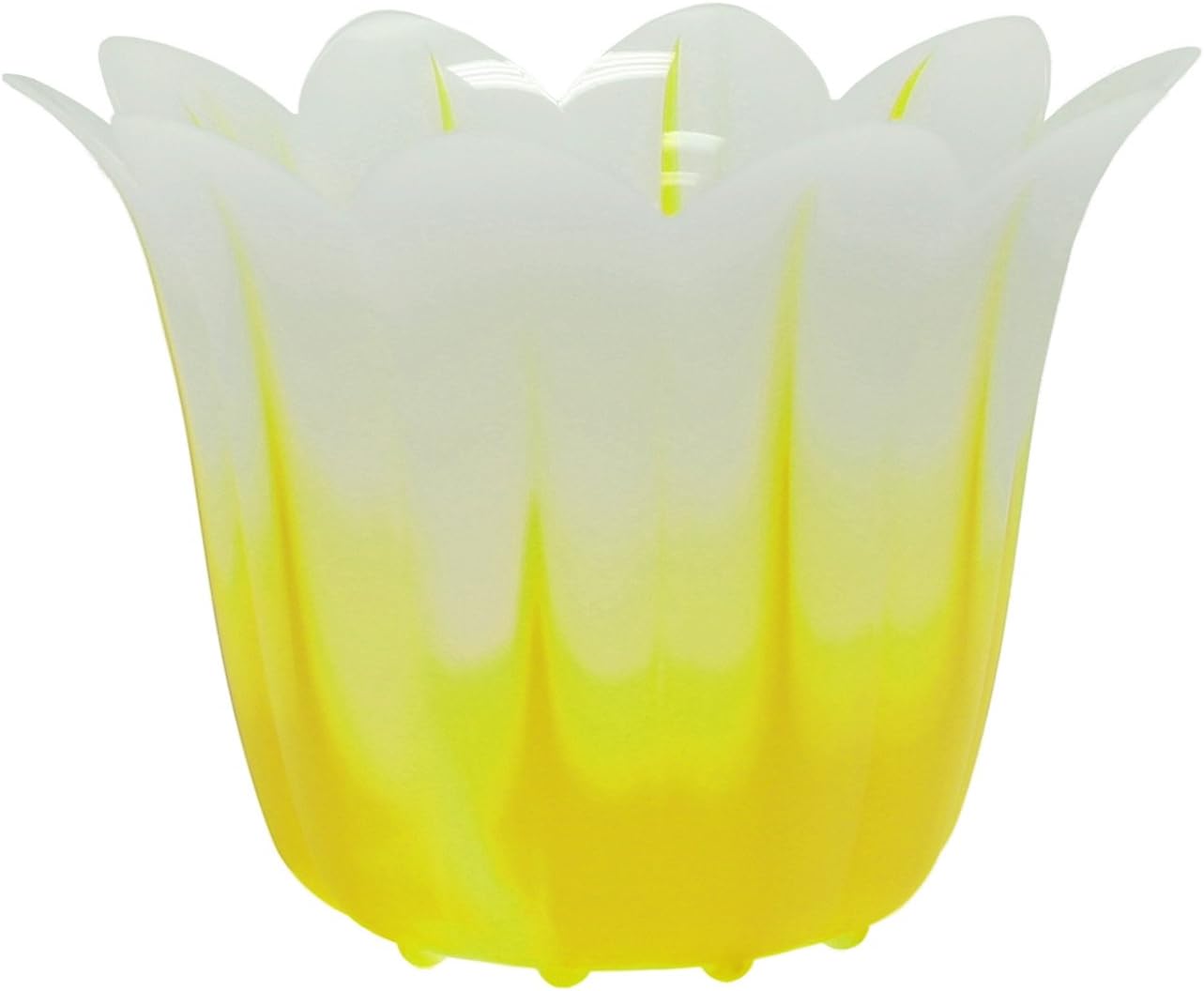 Amazon.com : Rush Creek Designs PIM0890013614 5-Inch Lemon Tulip ...