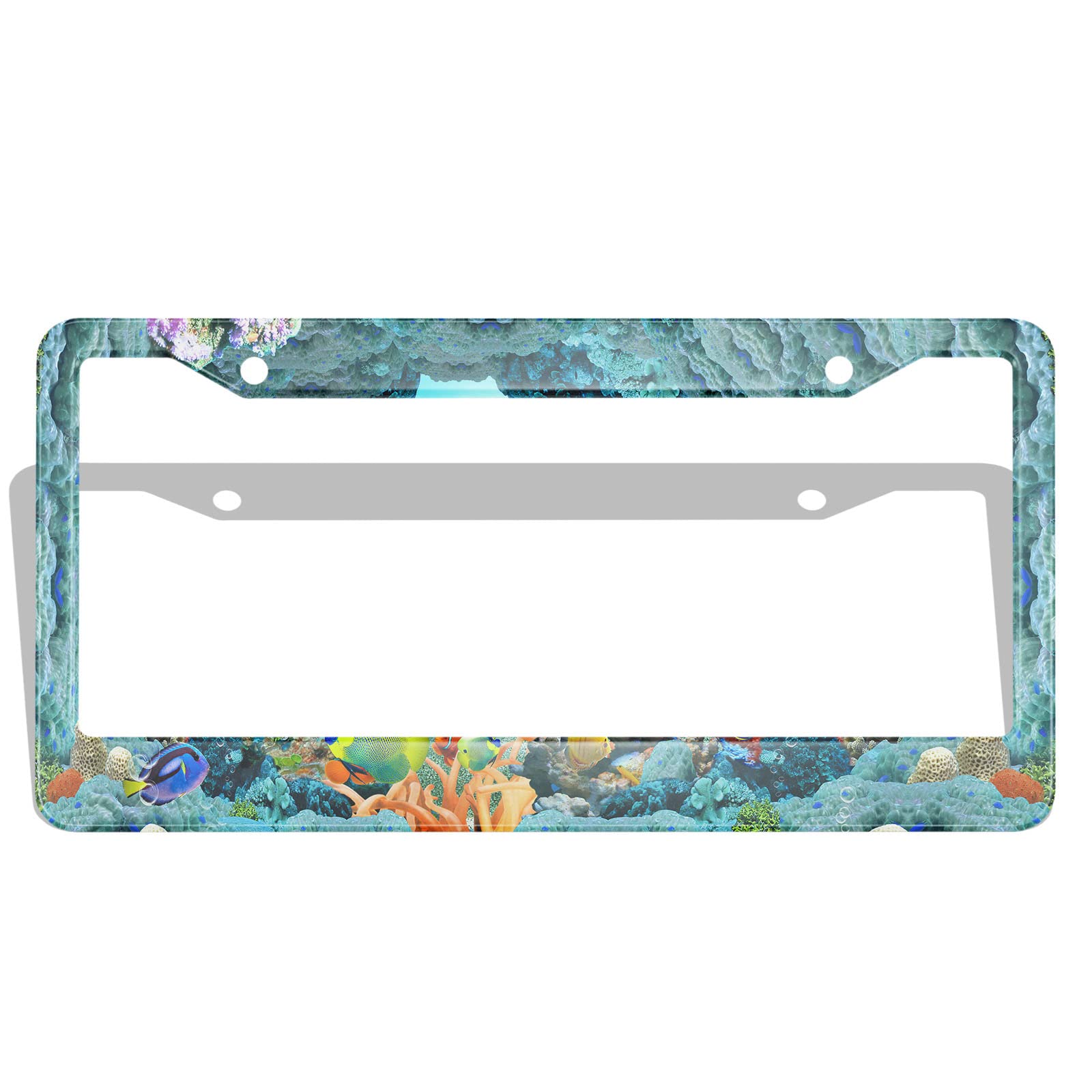 Amazon.com: Uanvaha Dolphins License Plate Frame Aquarium Tropical Fish ...