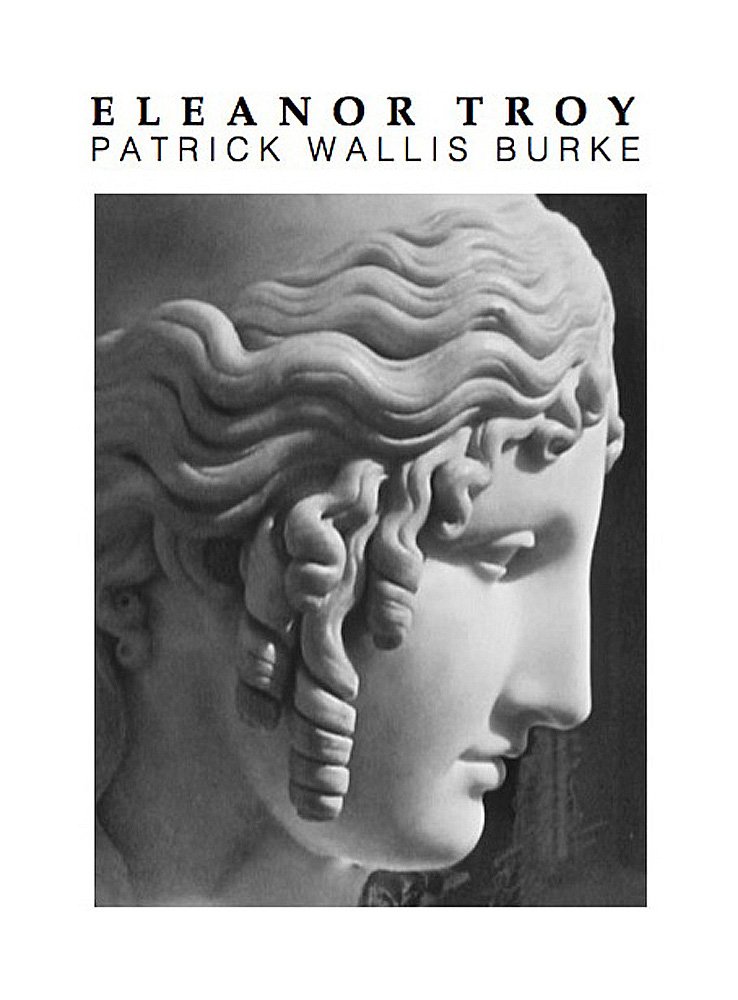 Eleanor Troy - Kindle edition by Burke, Patrick Wallis. Literature ...