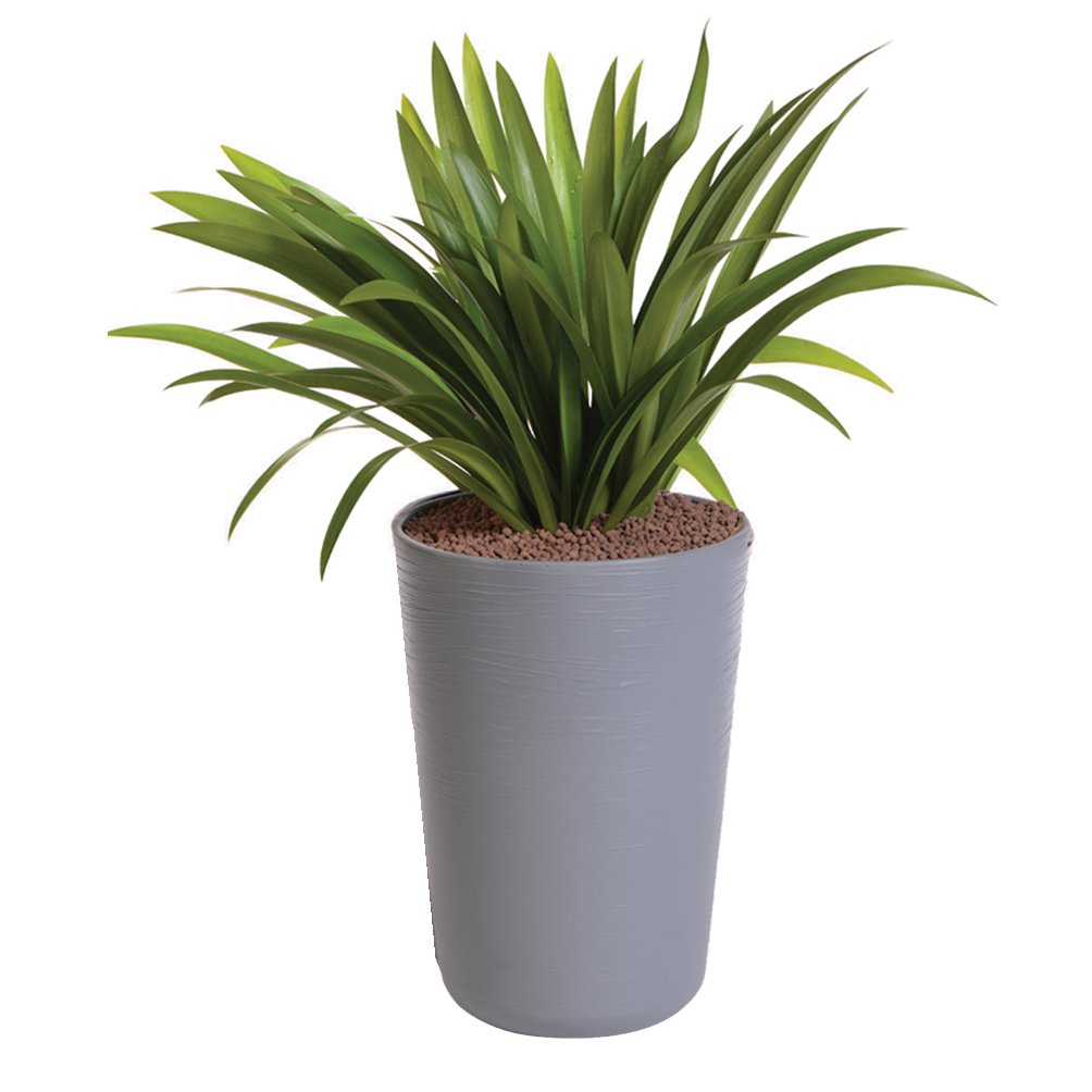 Sereno Bello Plastic Flower Pot (Garden flower pots / planters for club ...