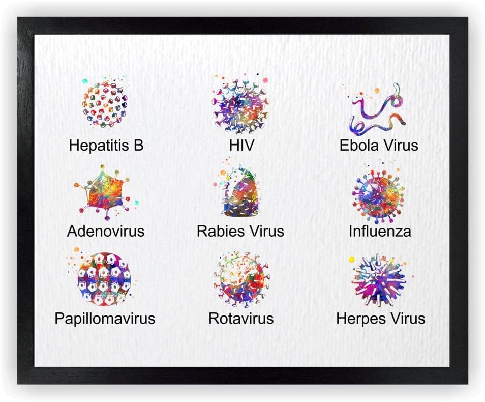 Amazon.com: Dignovel Studios 8X10 Unframed Viruses Diagram Watercolor ...