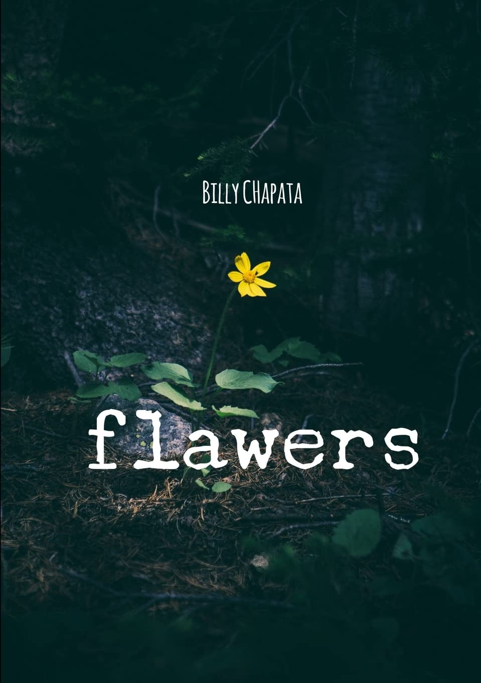 Flawers: Chapata, Billy: 9781329927377: Amazon.com: Books