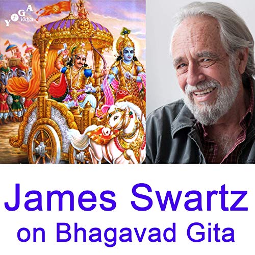 James Swartz - Vedanta Talks on the Bhagavad Gita : James Swartz ...