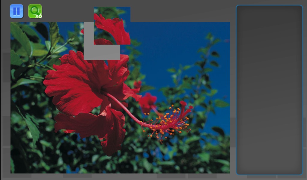 Picture Puzzle: Rap Flowers Up Close - App on Amazon Appstore