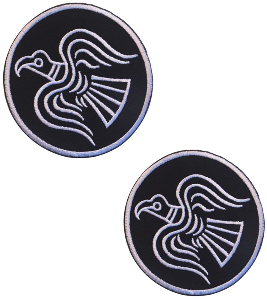 Replacement For Rare Norse Viking Raven Runes Odin God War | Desertcart ...