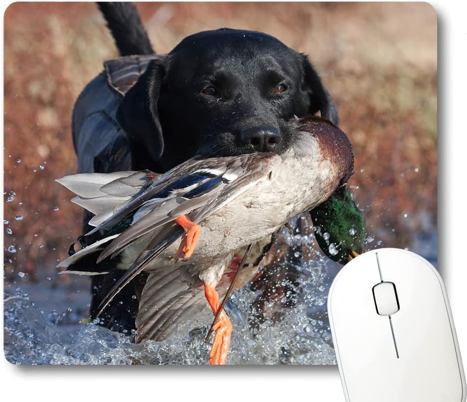 Amazon.com: Wknoon Wild Duck Hunting Dog Mouse Pad : Office Products