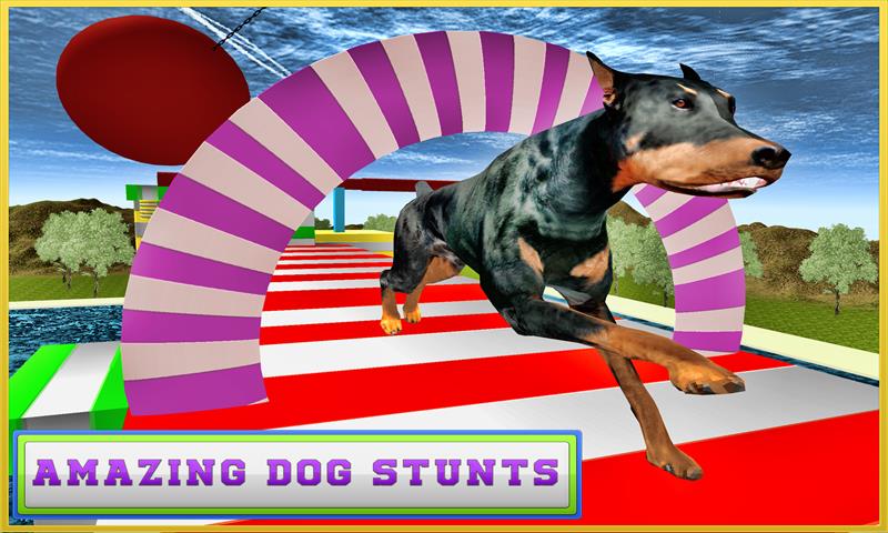 Real Dog Stunt & Jump Derby 3D - App on Amazon Appstore