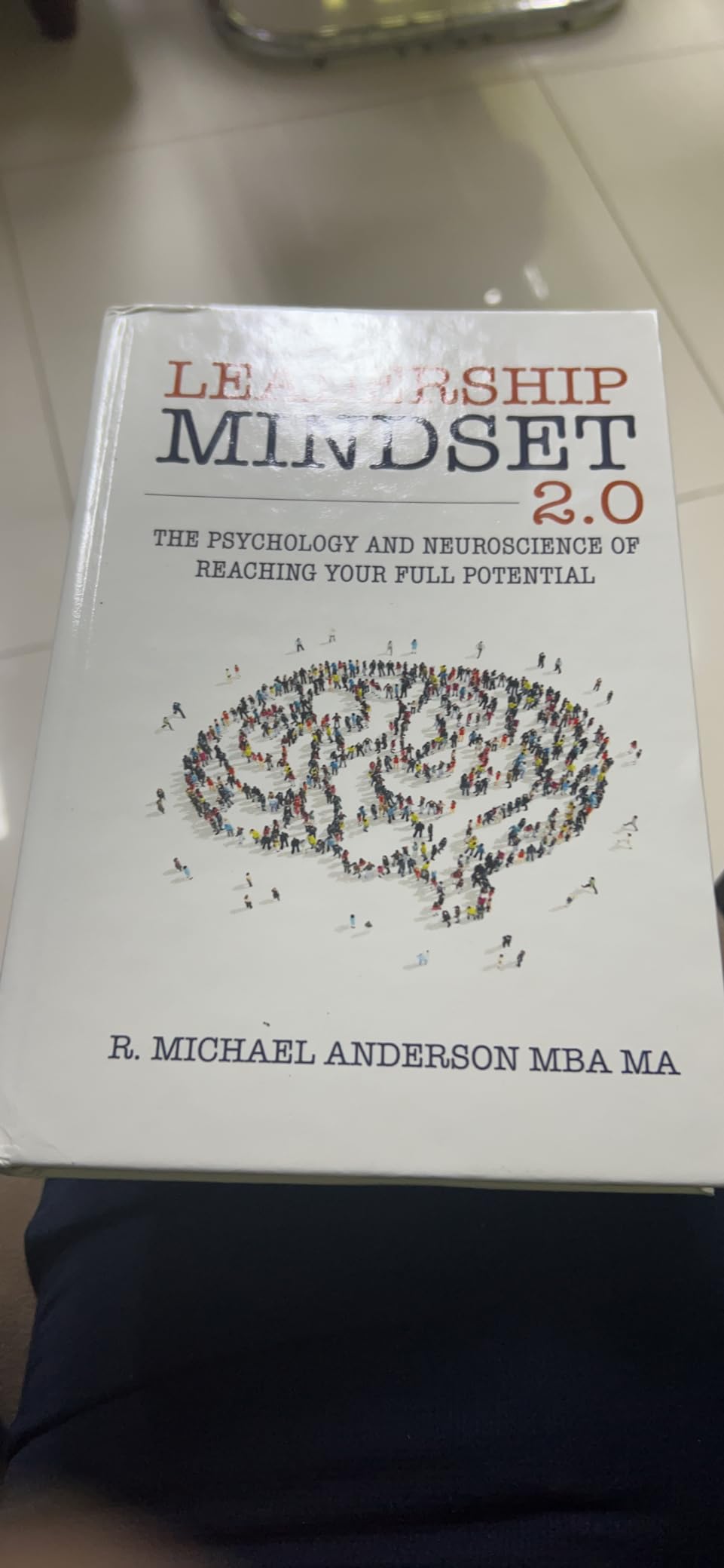 Leadership Mindset 2.0: The Psychology and Neuroscience of Reaching ...