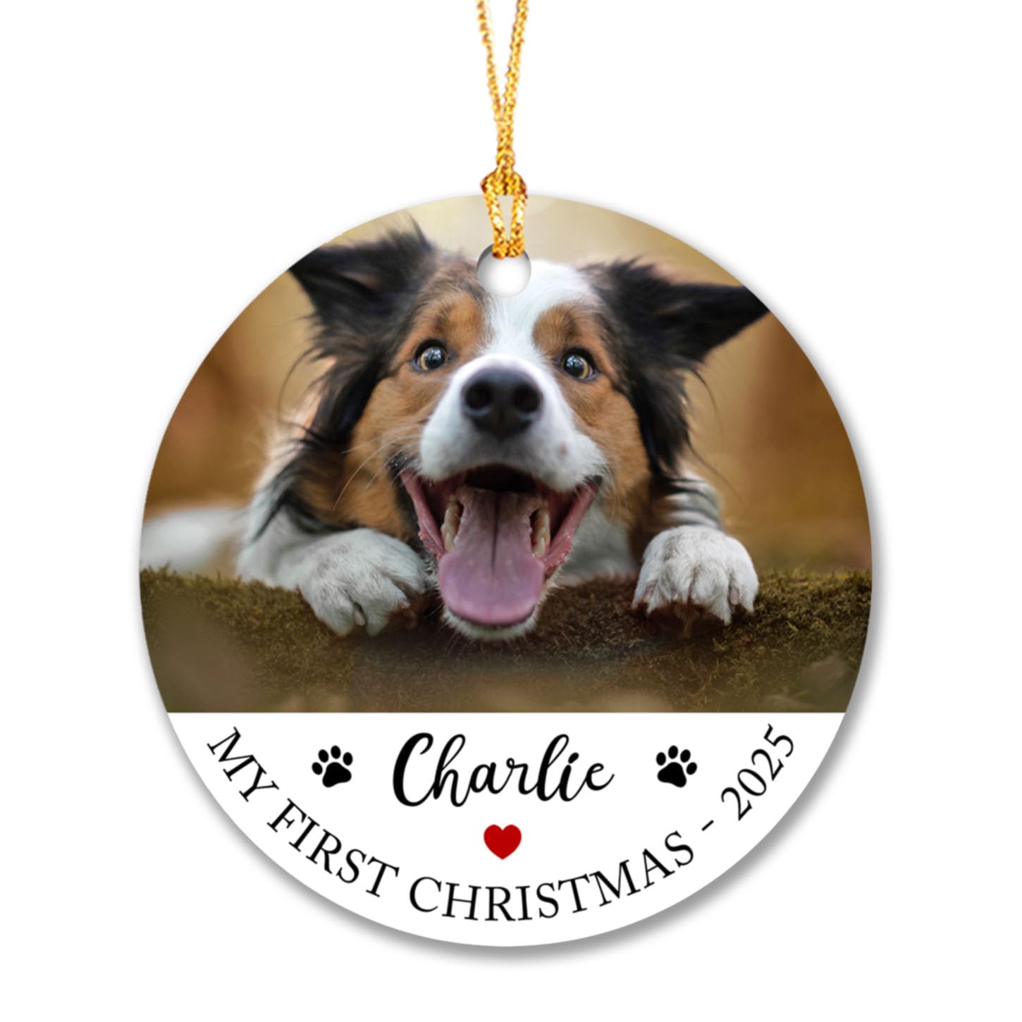 Amazon.com: Personalized Dog Christmas Photo Ornament 2025, My First ...