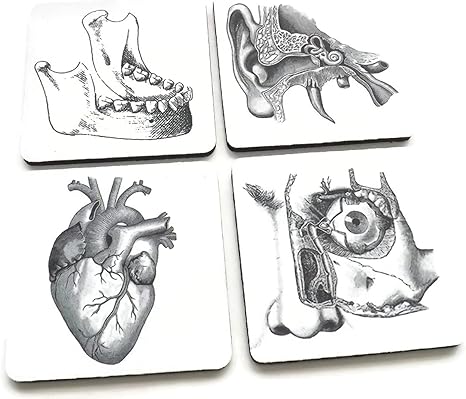 Amazon.com: Human Body Coasters 3.5 inch set of 4 or 6 mug mats eye ear ...