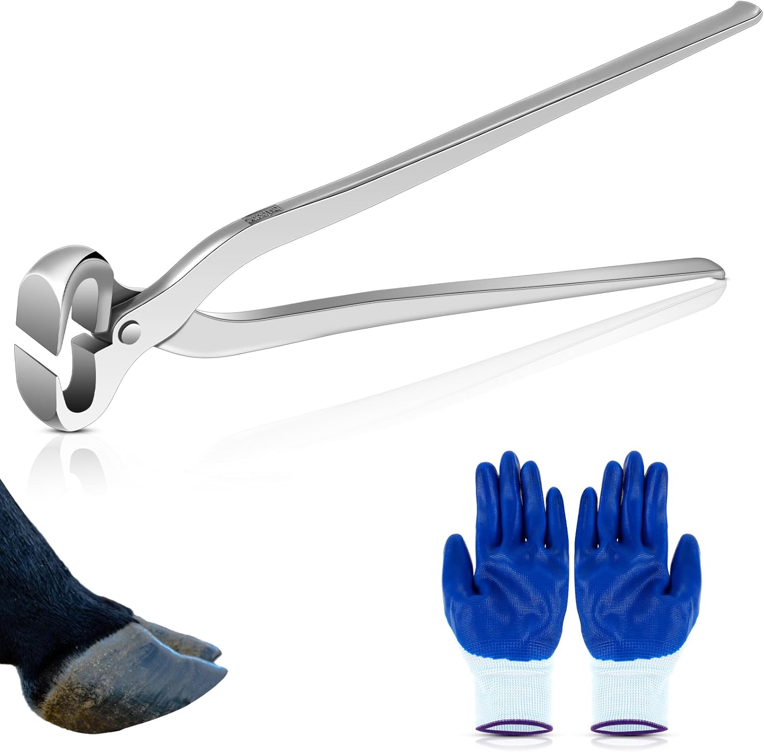Amazon.com : Leriton 16 Inch Hoof Nippers Stainless Steel Farrier Tools Quality Hoof Trimmers ...
